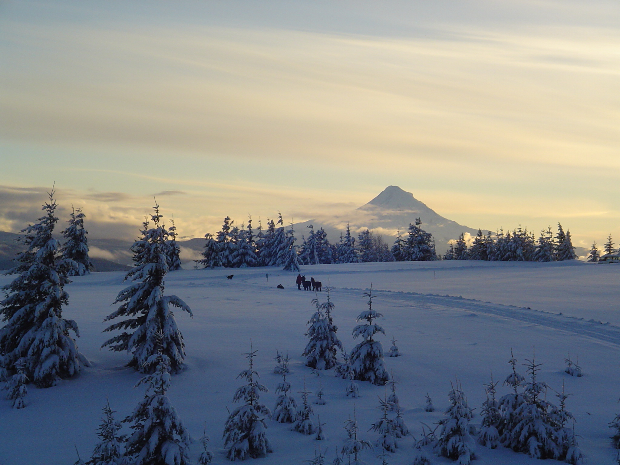 SnowdenCommunity.org – Snowden Community Council