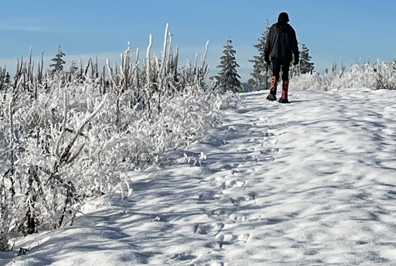 SnowdenCommunity.org – Snowden Community Council